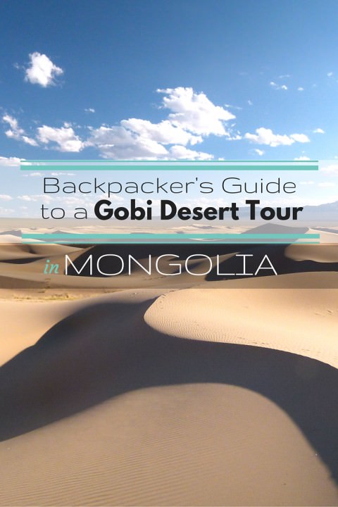 The Gobi Desert: A Travel Guide to The Mongolian Desert - Goats On The Road