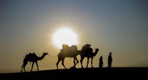 Budget Guide To Backpacking India