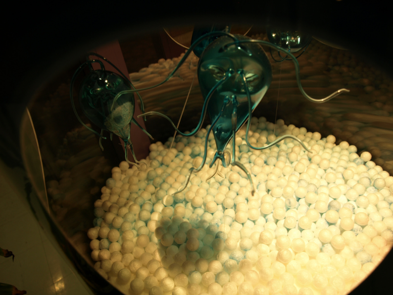 15 Best Things To Do in Bangkok, Thailand - Goats On The Road