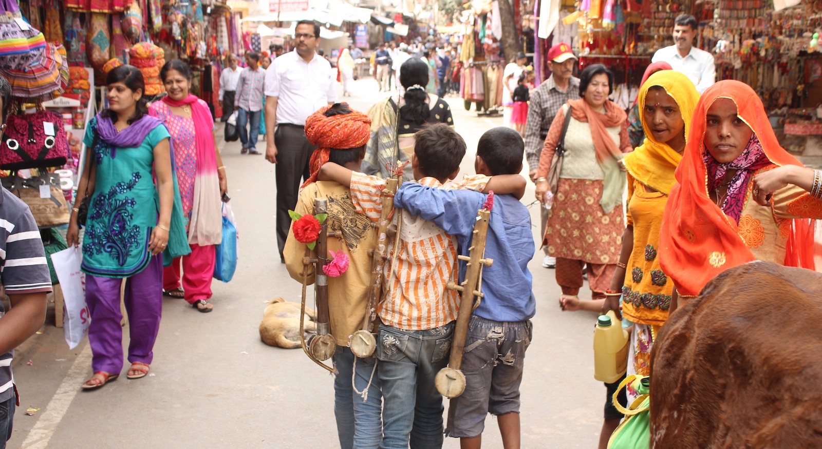 From Traveller to Tour Guide: My India Experience - Goats On The Road