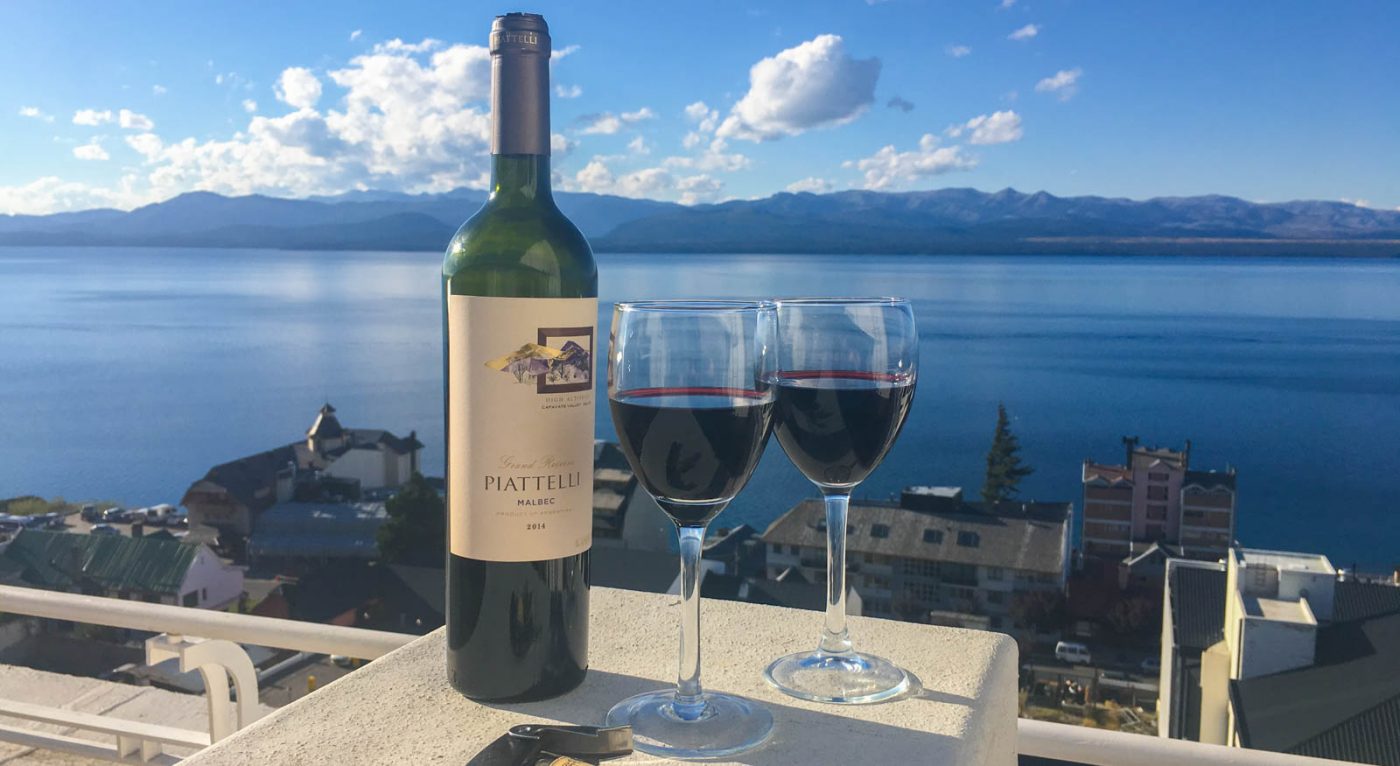 Top 7 Must-Try Wines in Argentina - Goats On The Road
