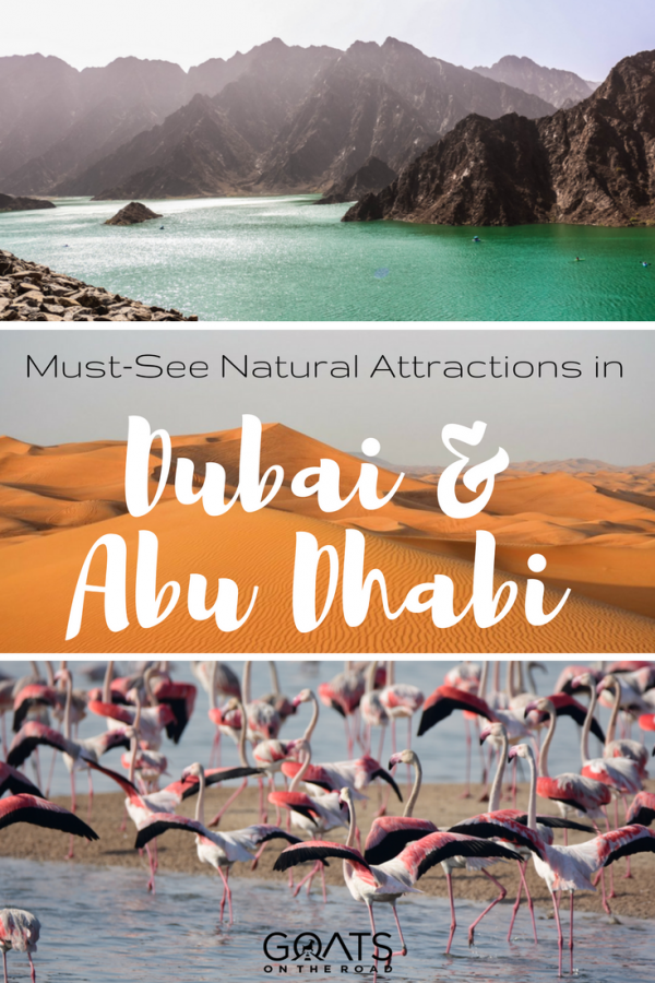 6 Must-See Natural Attractions in Dubai & Abu Dhabi - Goats On The Road 6 Must-See Natural Attractions in Dubai & Abu Dhabi - Goats On The Road