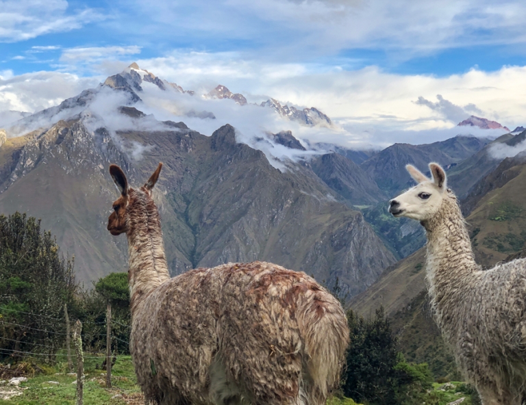 Reflections and Highlights: Our 2 Month Trip In Ecuador & Peru - Goats ...