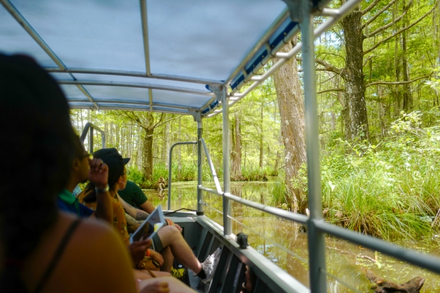 7 Best Swamp Tours in New Orleans in 2023 - Goats On The Road