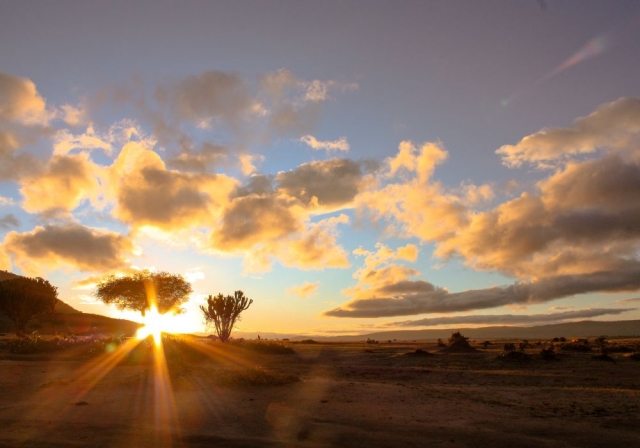 15 Best Trails For Hiking in Kenya - Goats On The Road