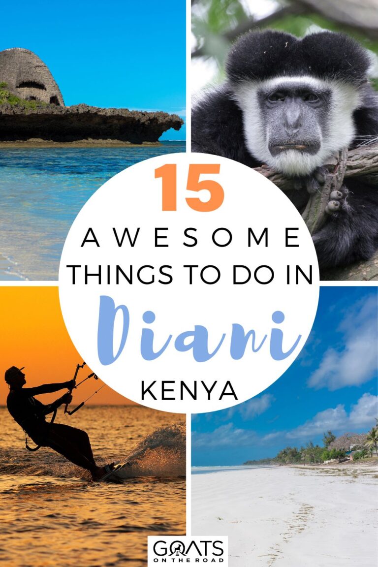 15 Best Things To Do In Diani Kenya Goats On The Road