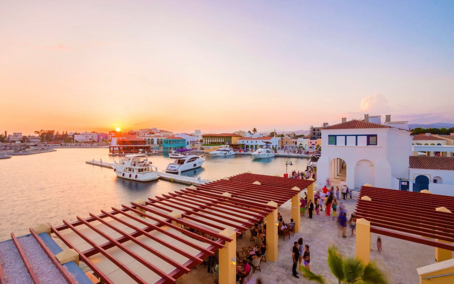 Cyprus Travel Guide - Goats On The Road