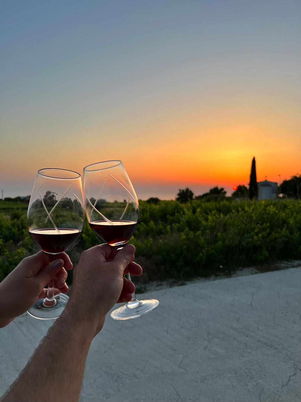 15 Best Wineries in Cyprus (+ Best Wines) - Goats On The Road