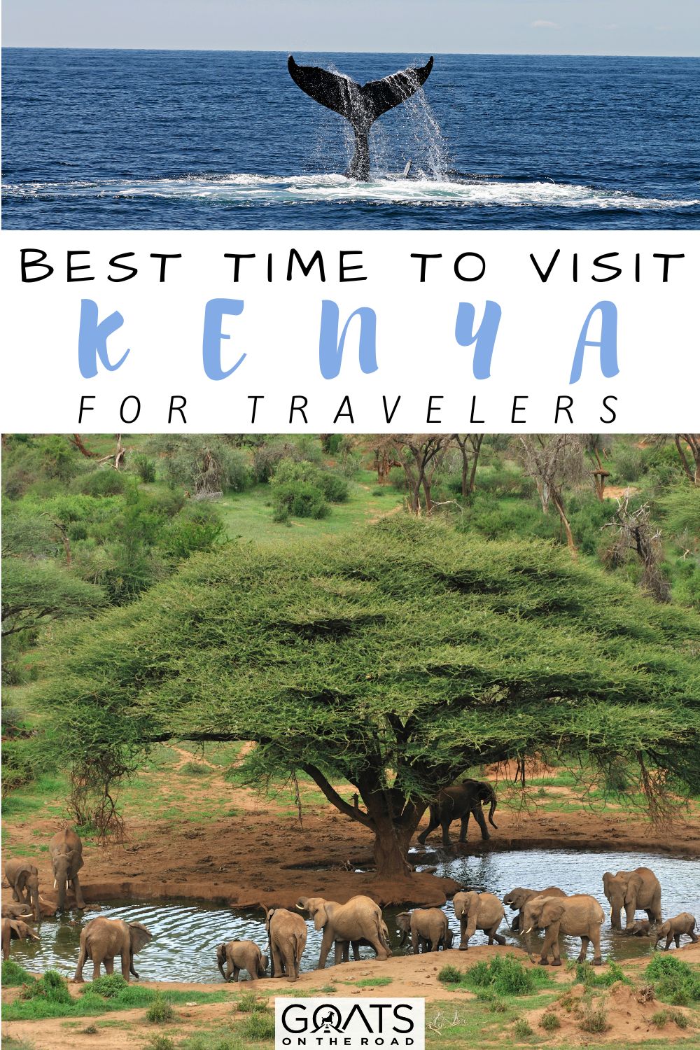Best Time to Visit Kenya (Weather and Costs) - Goats On The Road