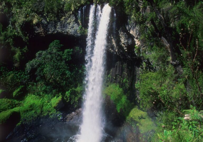 10 Most Beautiful Waterfalls in Kenya - Goats On The Road