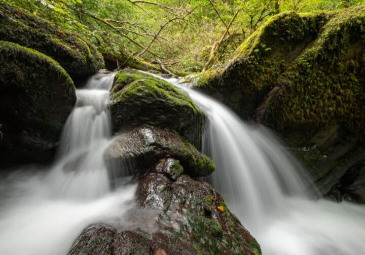 10 Pristine National Parks to Visit in England - Goats On The Road