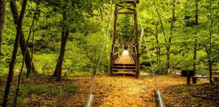 15 Best Hikes in Durham in 2023 (For All Levels) - Goats On The Road