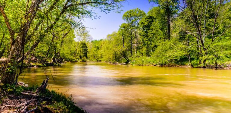 15 Best Hikes in Durham in 2023 (For All Levels) - Goats On The Road